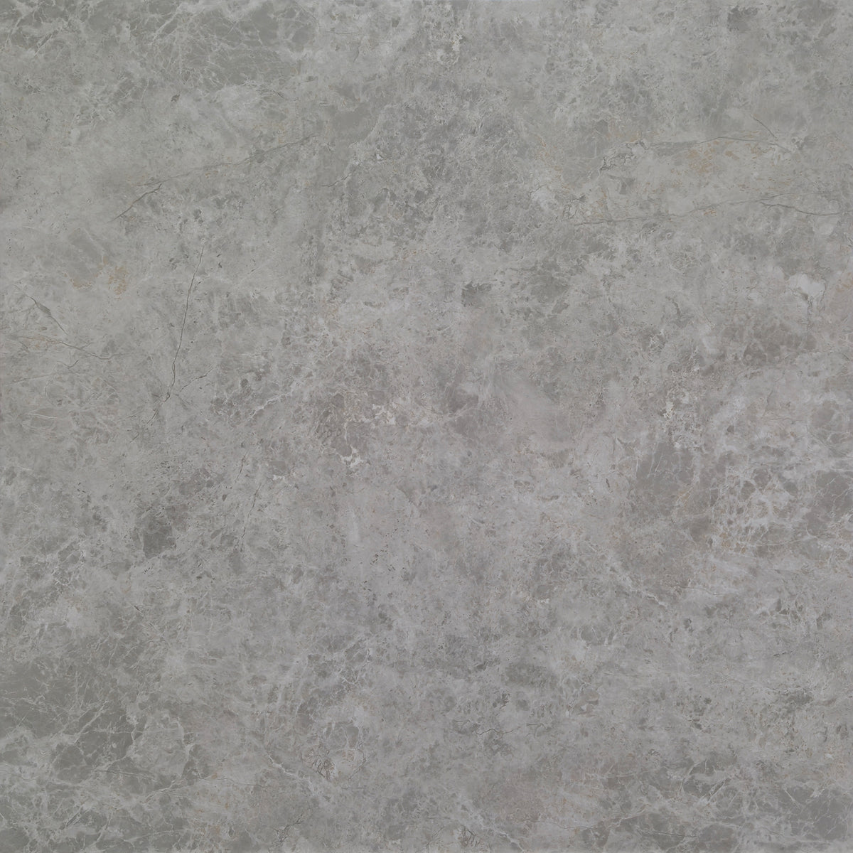 OREO SILVER GREY 600x600 – Superb Tiles